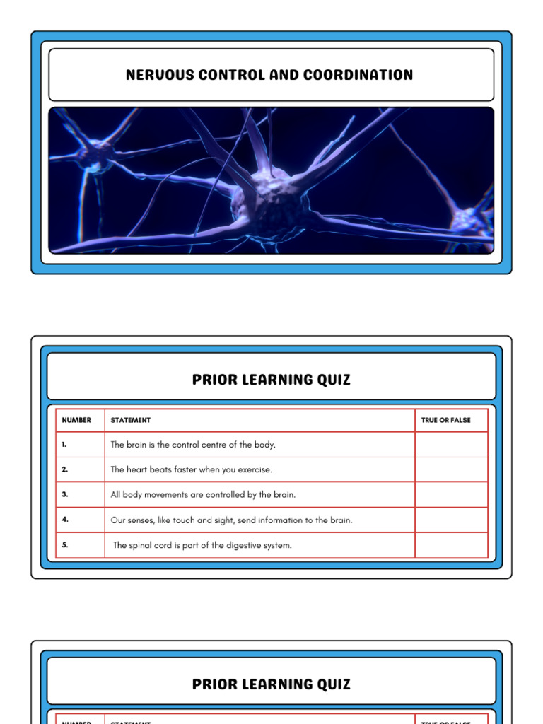 Nervous System Coordination Lesson Presentation in Blue and White ...