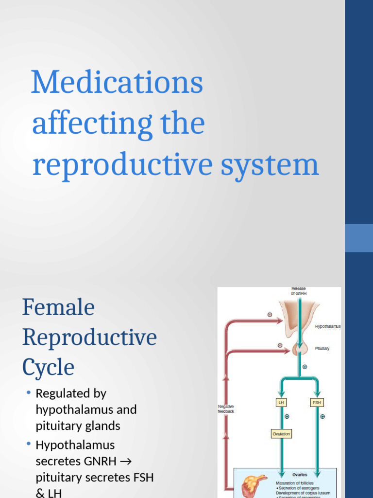 Lecture Reproductive Fall 2021 | PDF | Combined Oral Contraceptive Pill | Hormone Replacement ...