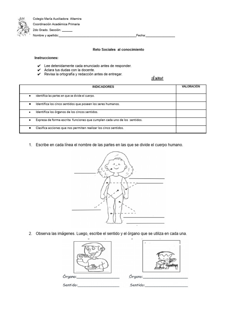 Naturales. Los Sentidos 1er Grado | PDF