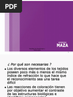 Tinción de PAS | PDF | Tinción | Ciencias fisicas