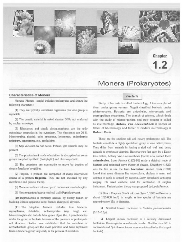 Selfstudys Com File | PDF