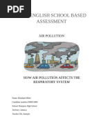English SBA | PDF | Air Pollution | Pollution
