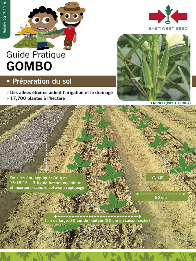 Gombo | PDF