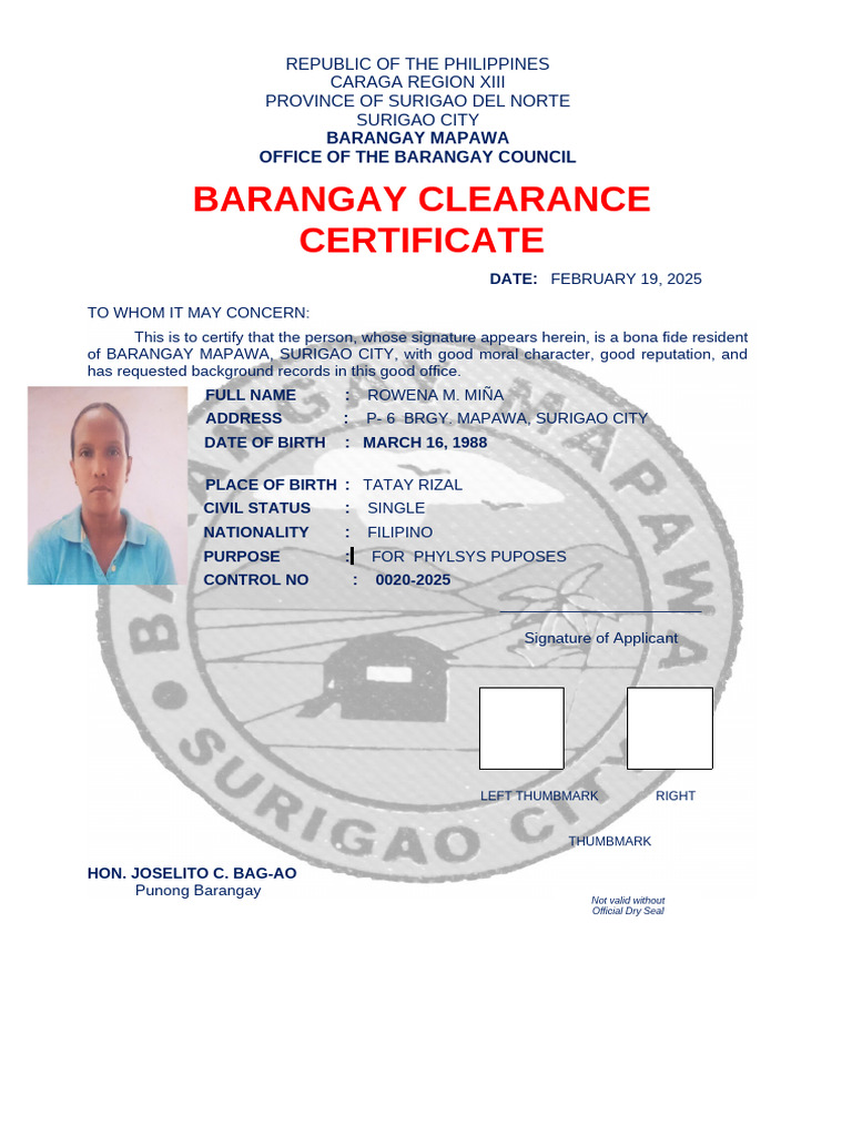 Brgy Clearance For National Id | PDF