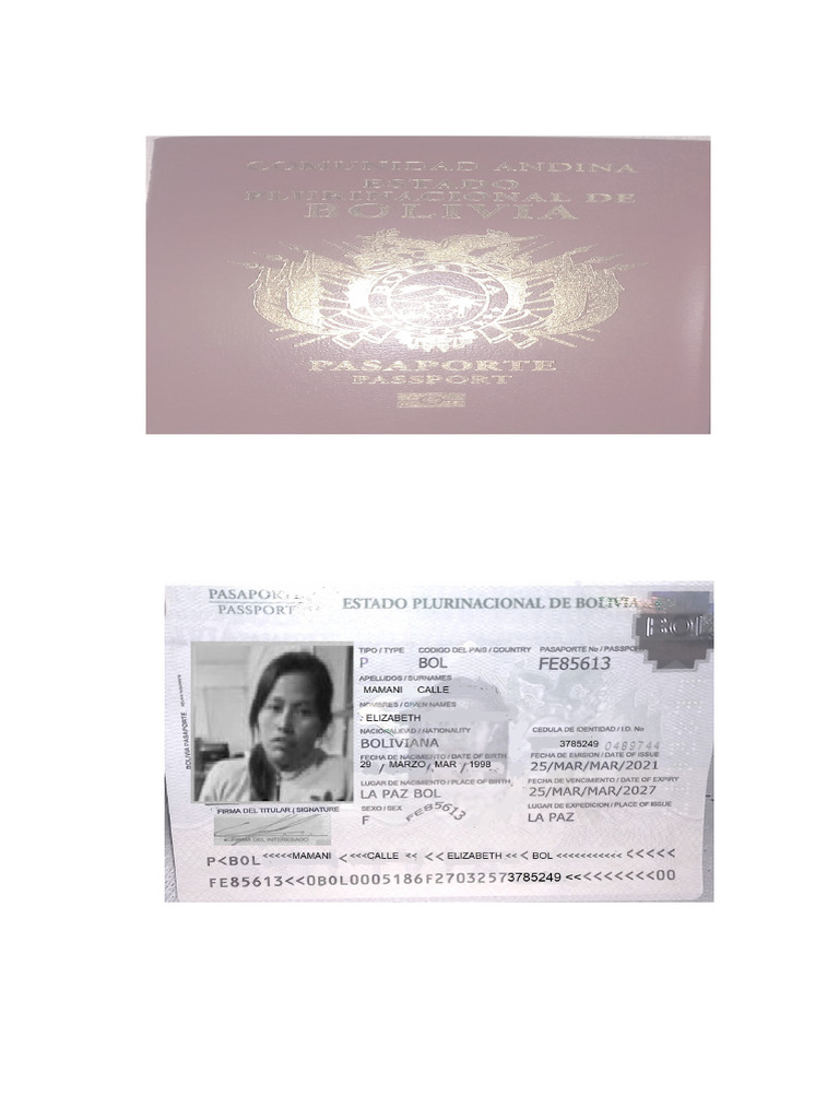 Pasaporte | PDF