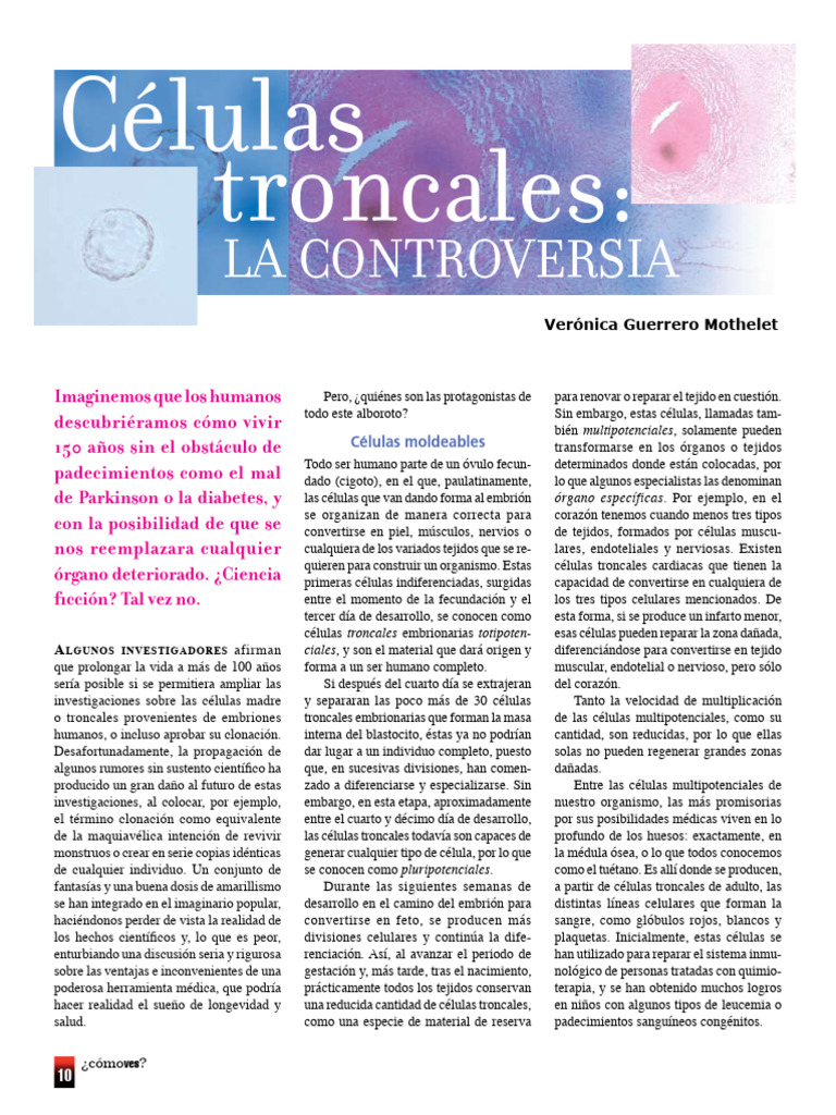 Celulas Troncales | PDF | Célula madre | Clonación