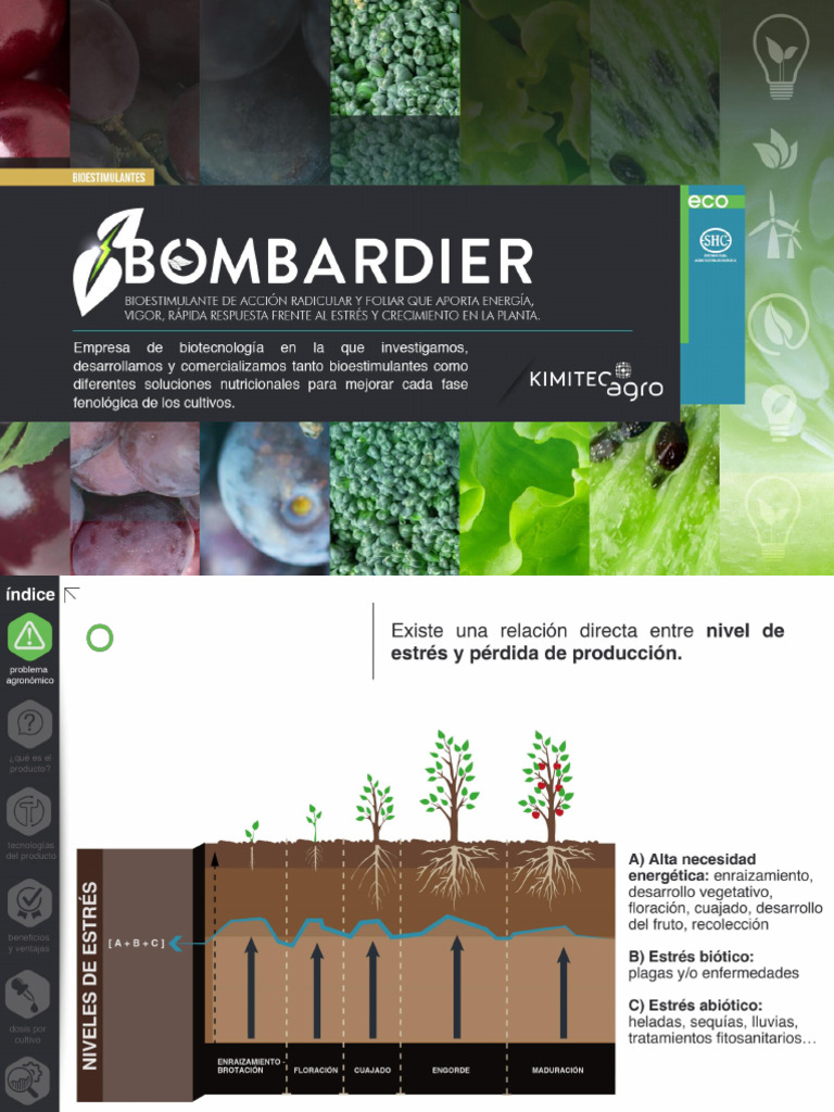 Bombardier Producto 2018 | PDF