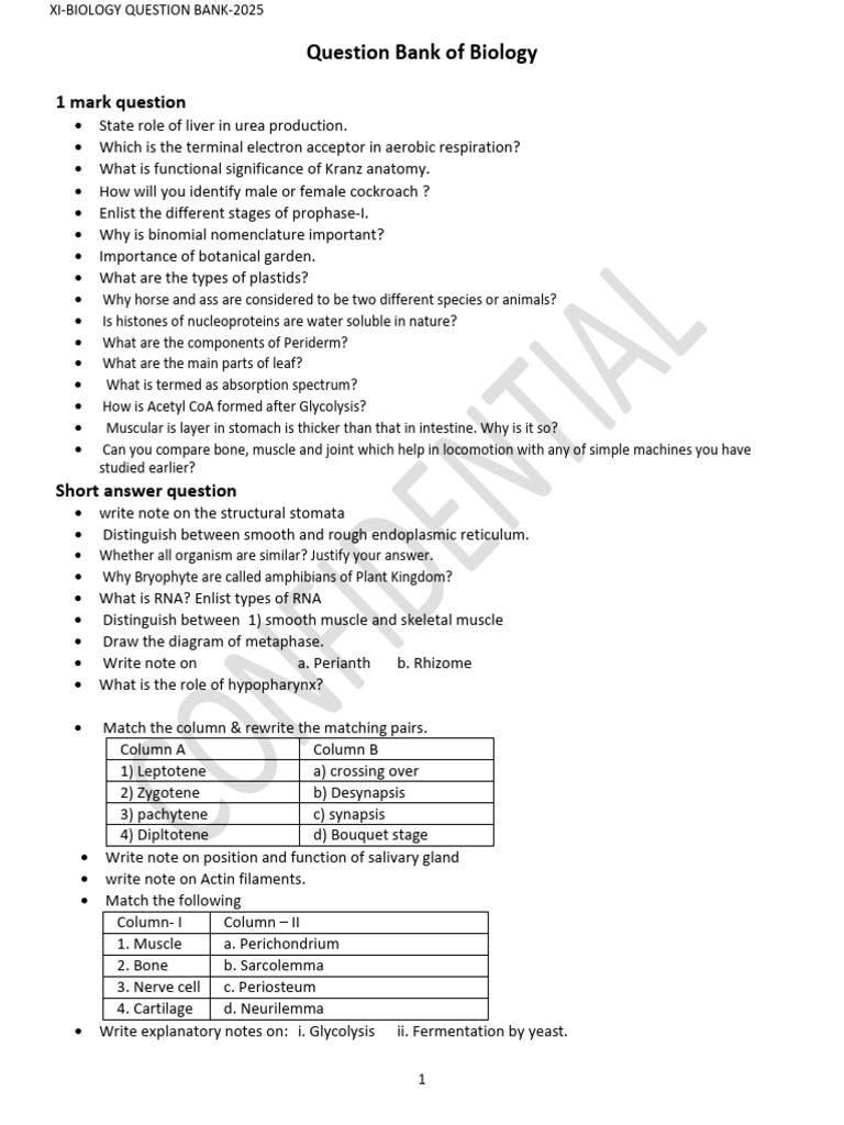 Xi-Question Bank Biology | PDF | Skeletal Muscle | Cell (Biology)