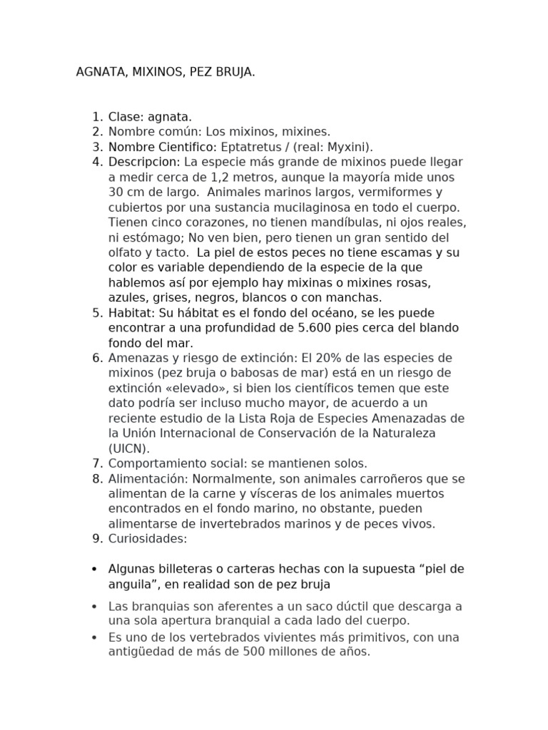 Mixinos y Lampreas: Peces Sin Mandíbula | PDF | Pescado | Zoología