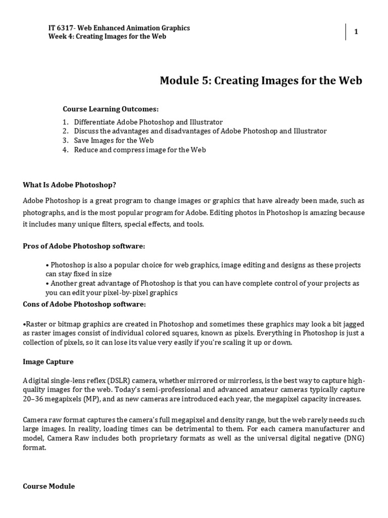 W4 Lesson 5 Creating Images For The Web | PDF | Adobe Photoshop | Image Editing
