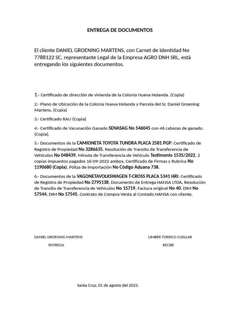 Entrega de Documentos por Daniel Groening | PDF