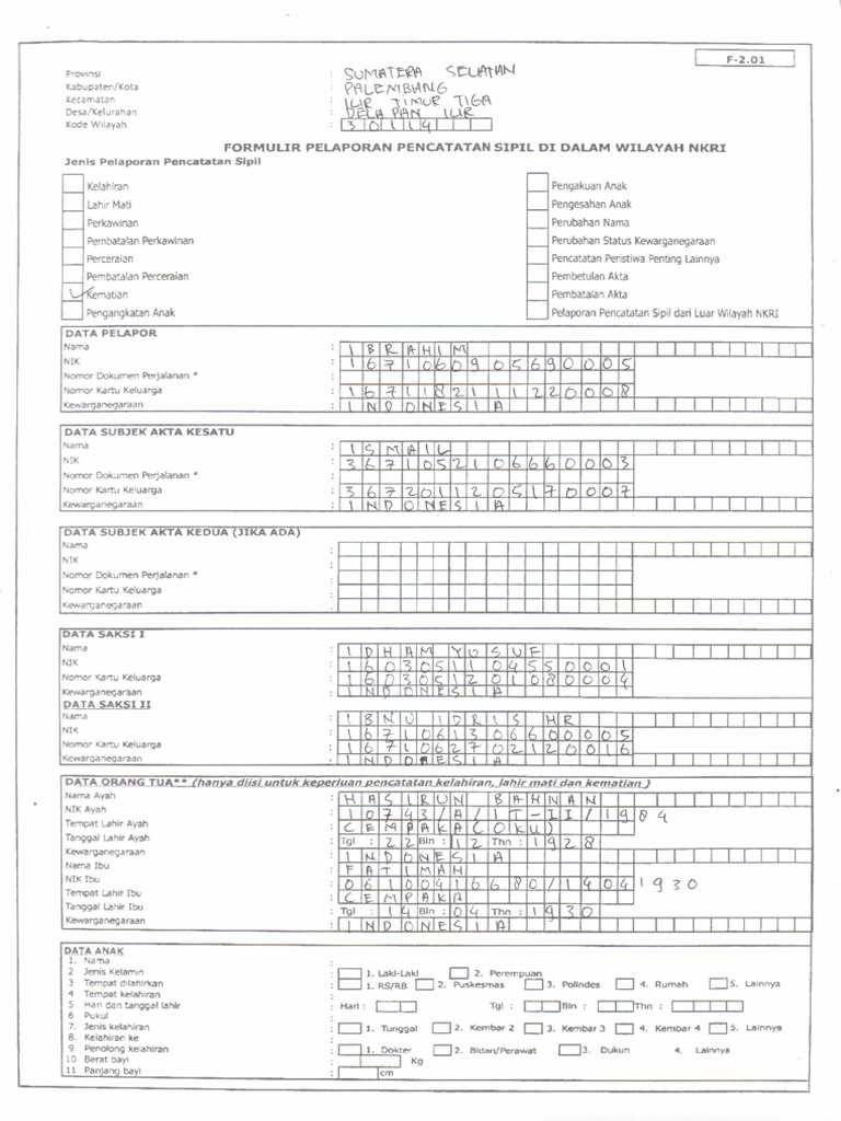 Formulir Pelaporan PLG | PDF