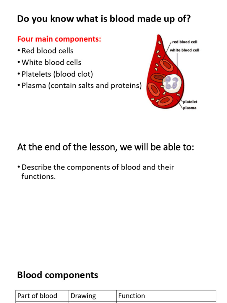 Components and Functions of Blood | PDF