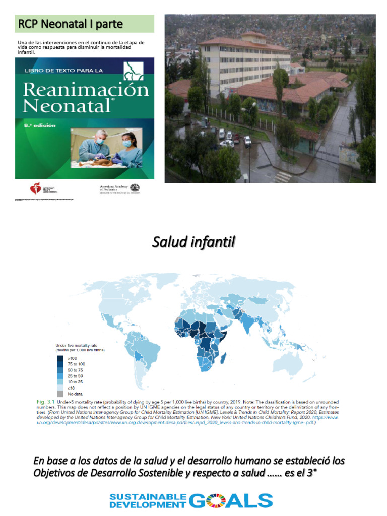 Ocr Rcp Neonatal (1) | PDF | Feto | Reanimación cardiopulmonar