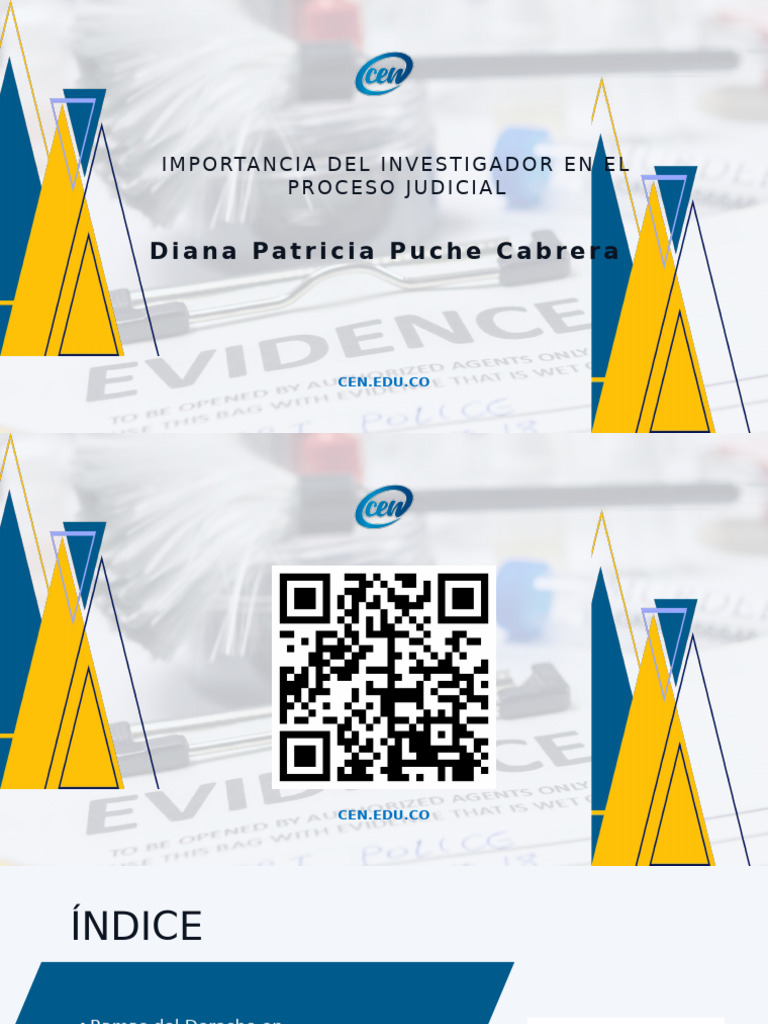 Rol Del Investigador Judicial | PDF | Ley Pública | Derecho laboral