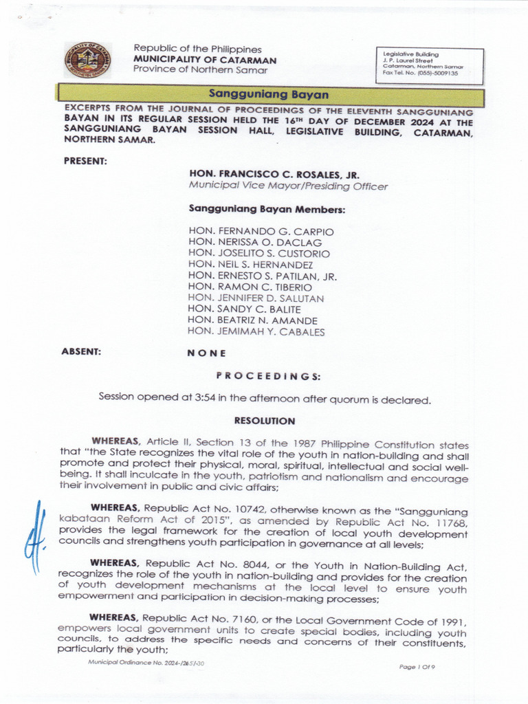 Catarman Northern Samar - MYDC Ordinance | PDF