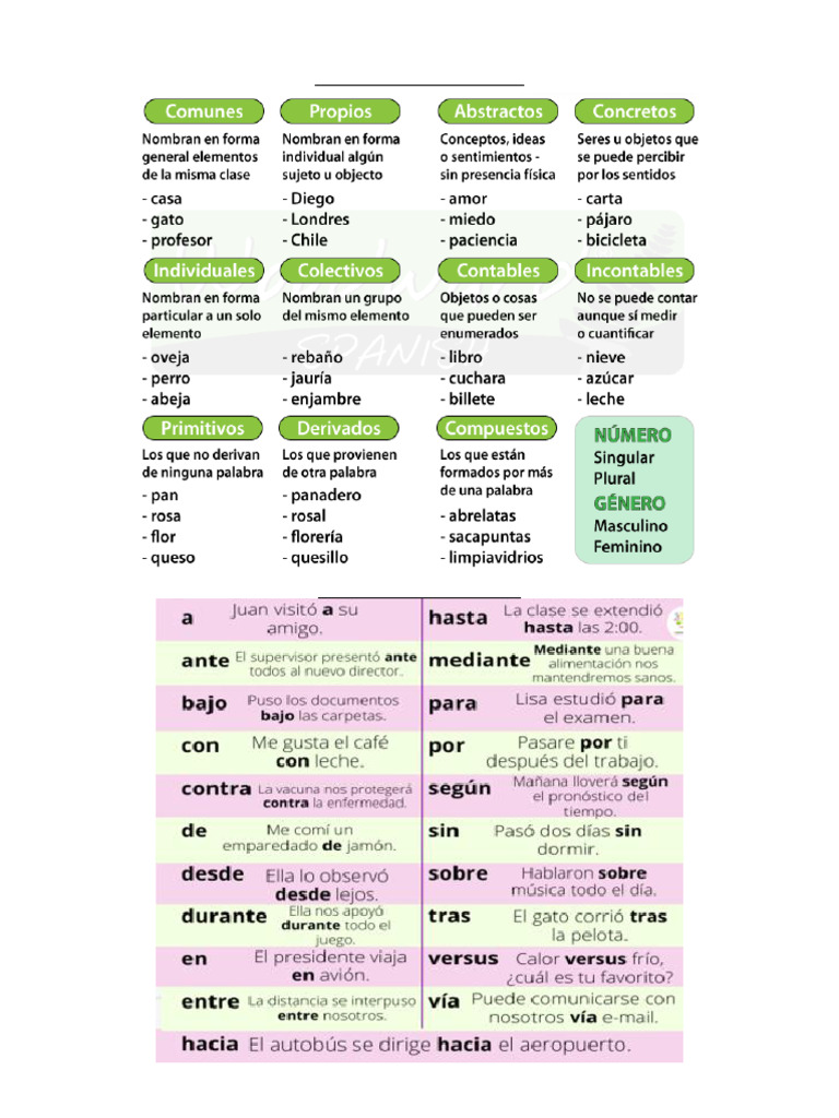 5° Español Los Sustantivos y Las Preposiciones | PDF