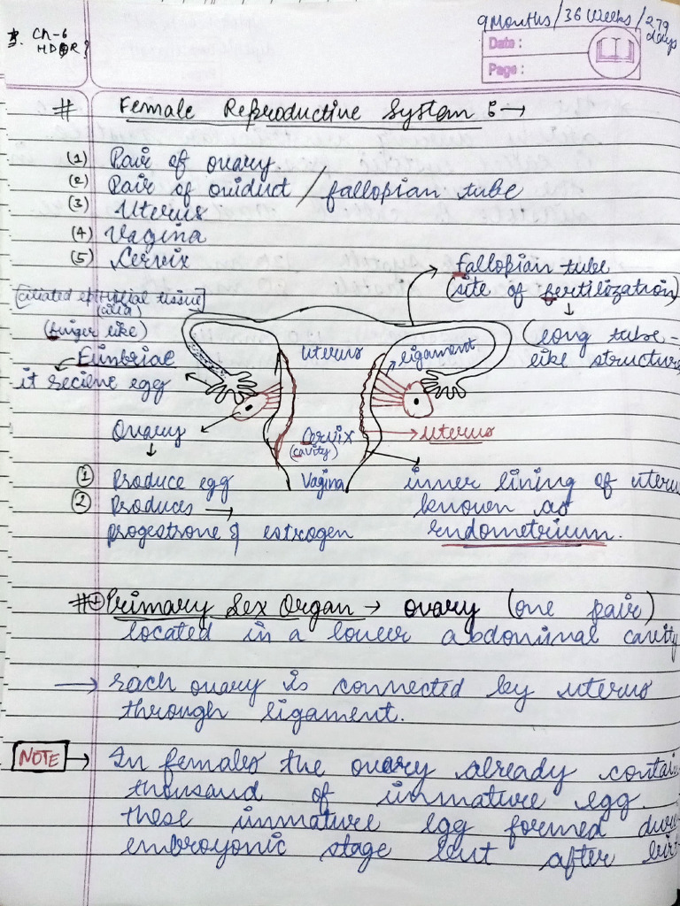 Ch-7 How Do Organisms Reproduce Notes | PDF