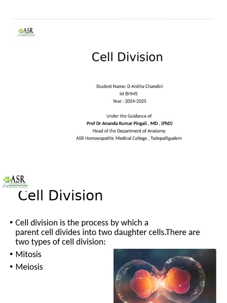 Cell Division PPT D.anitha Chandini | PDF
