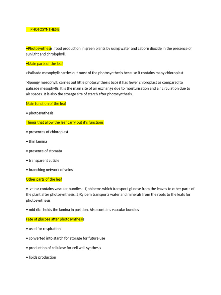 Understanding Photosynthesis in Plants | PDF