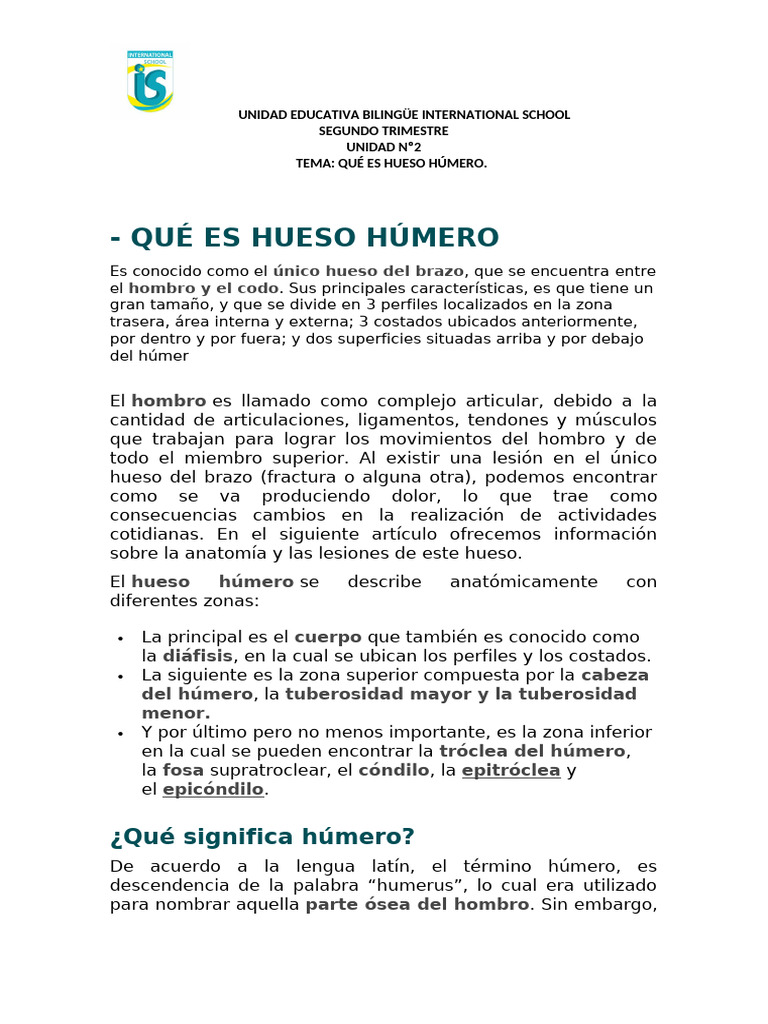 Anatomía y Funciones del Húmero | PDF | Hombro | Hueso