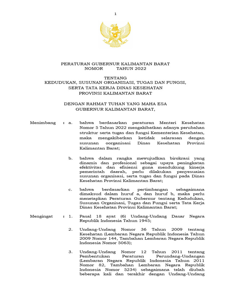 DRAF SK PERGUB SOTK DINKES 2022 | PDF