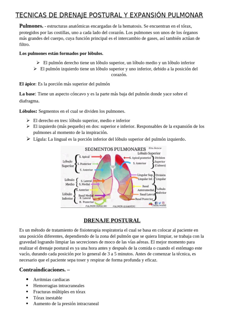 Tecnicas de Drenaje Postural y Expansión Pulmonar-1 | PDF | Pulmón | Respiración