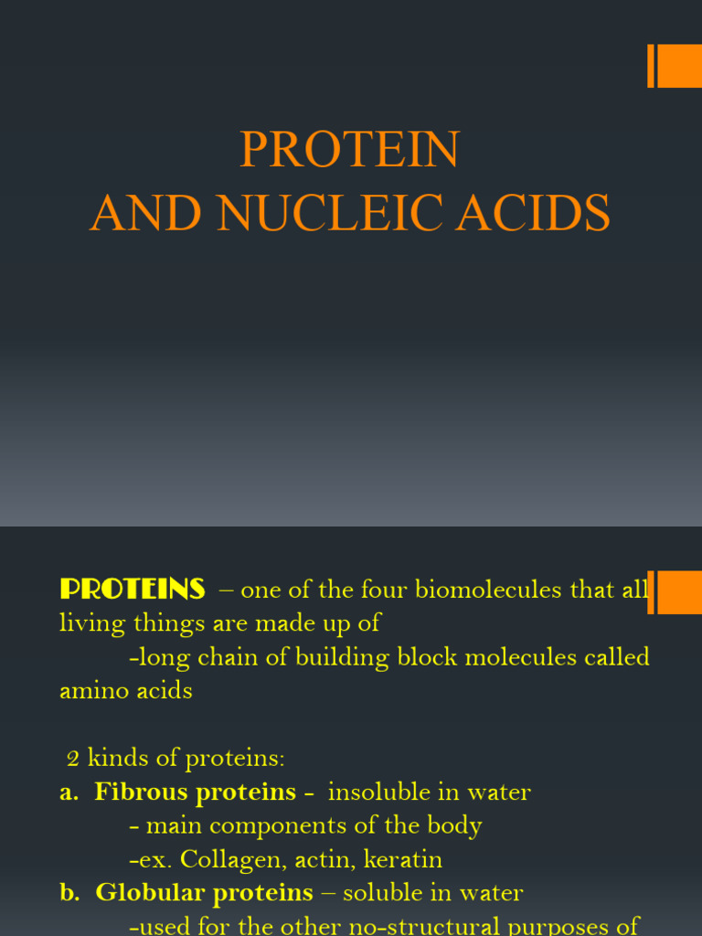 8 Protein and Nucleic Acids 2020 | PDF | Dna | Nucleotides