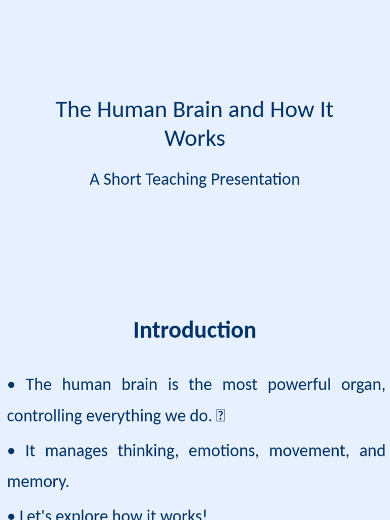 Human Brain Presentation Final (1) | PDF