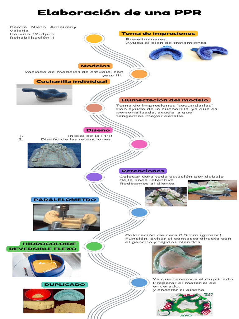 Elaboración PPR | PDF