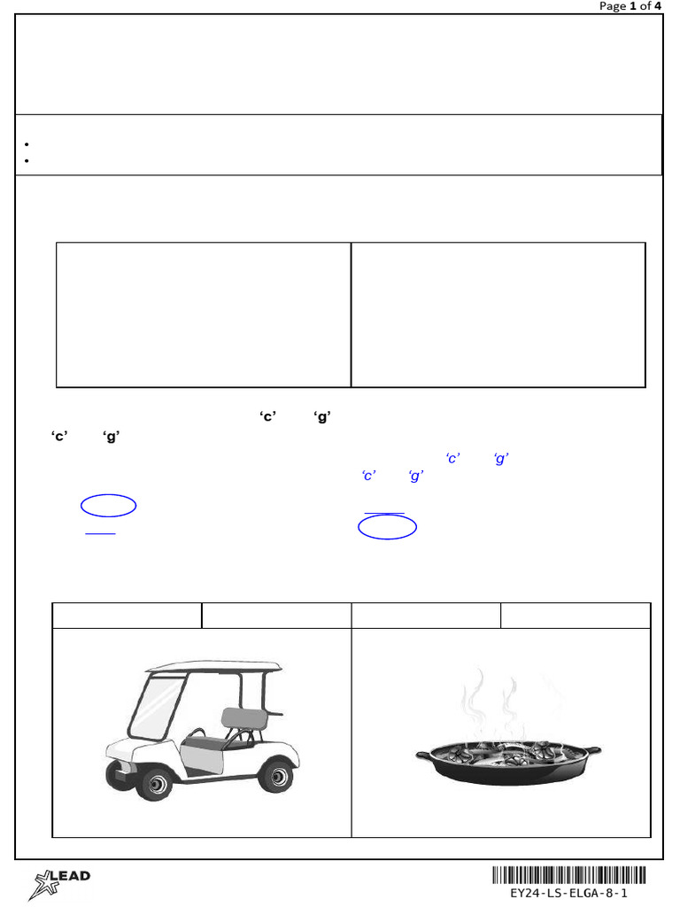 ELGA08 PART A (Vocabulary & Writing) EOY Assessment | PDF | Human ...