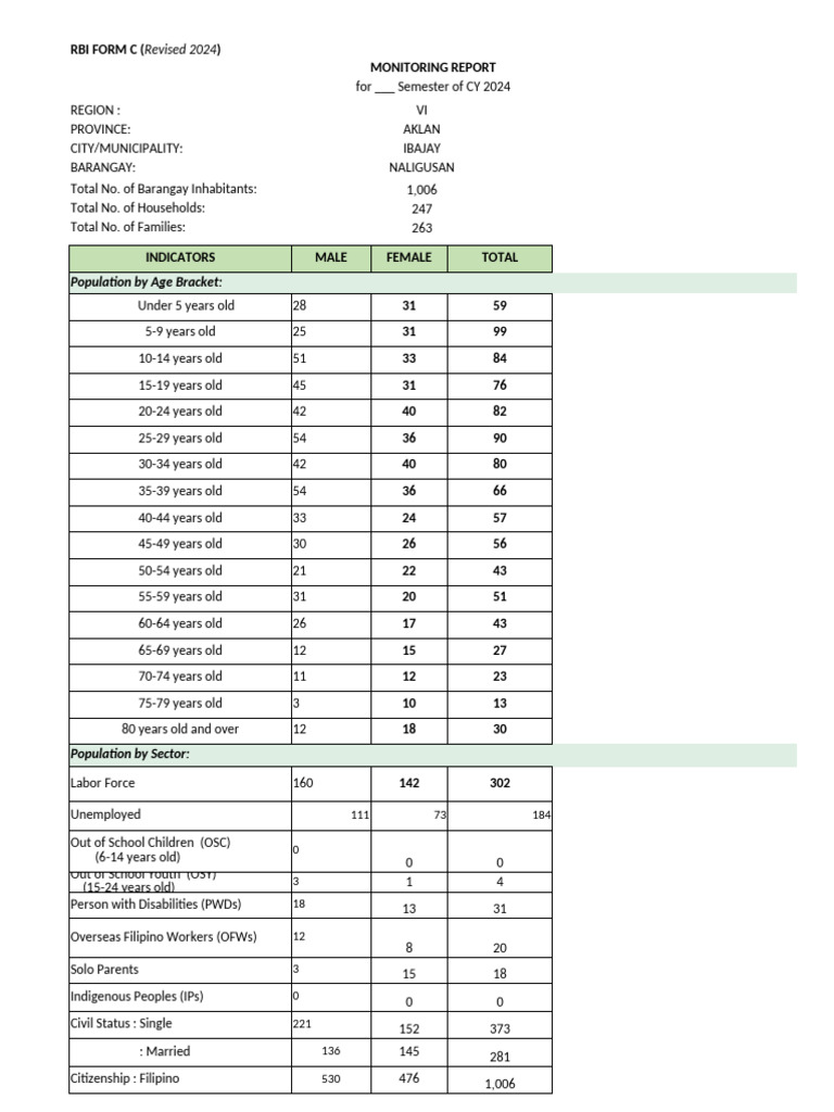 RBI FORM C Summary of Report Revised Age Bracketing - Revised 2024 2 1 ...