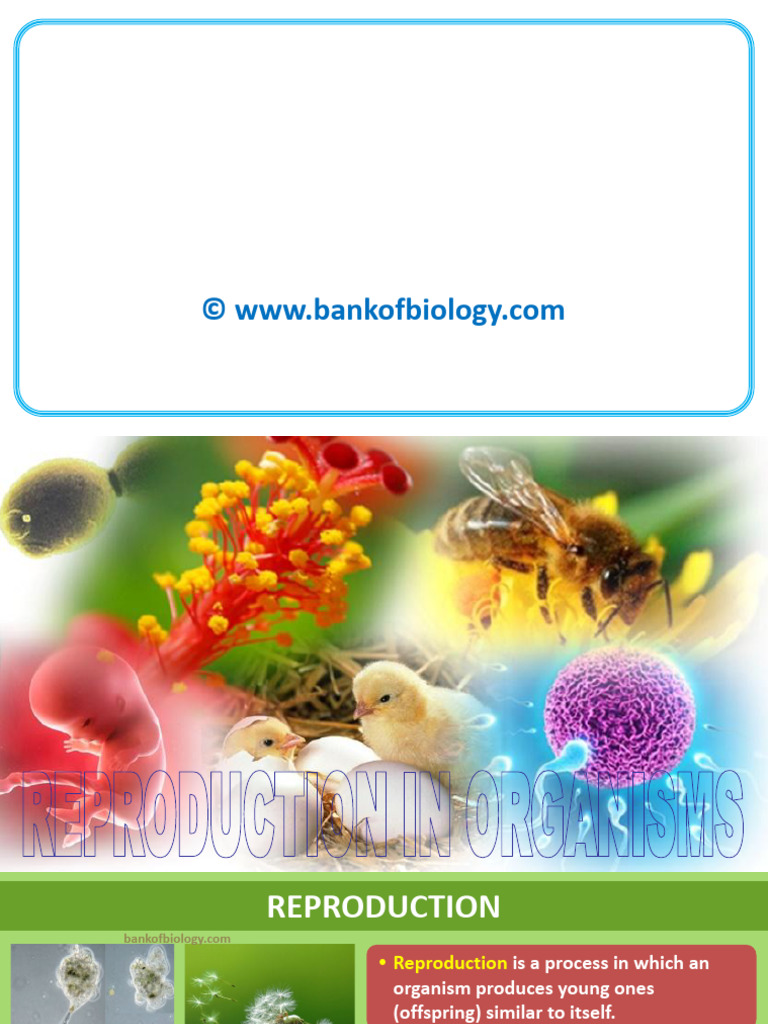Asexual and Sexual Reproduction Explained | PDF | Reproduction ...