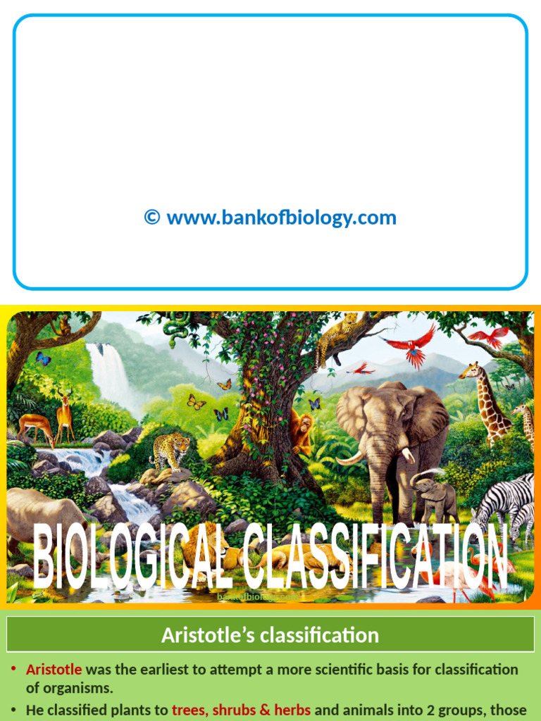 2 Biological Classification - PPSX | PDF | Bacteria | Plants