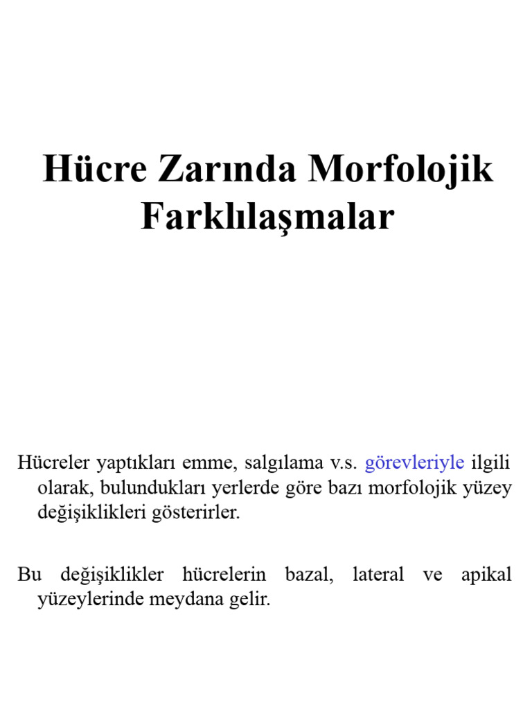 5 HÜCRE ZARI 2.K S M | PDF