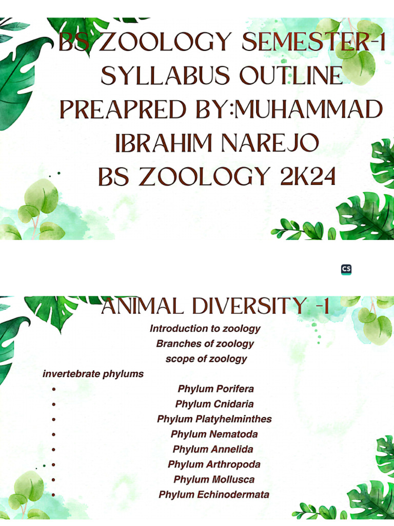 BS Zoology 1st Semester Syllabus | PDF