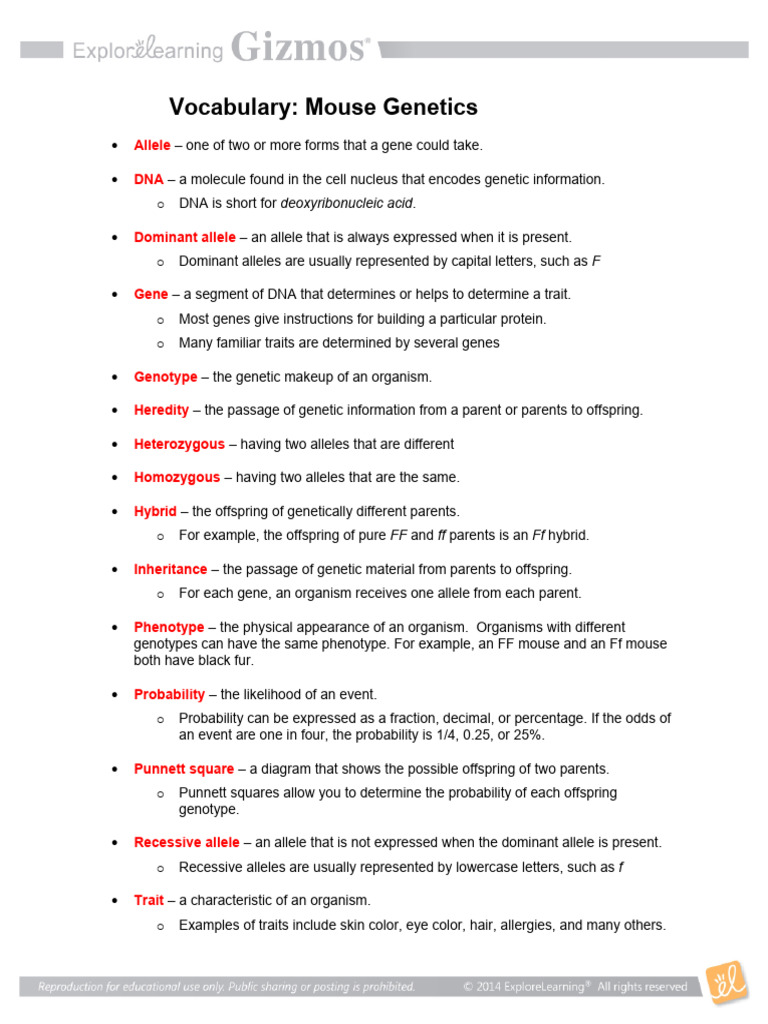 Genetics | PDF | Dominance (Genetics) | Genotype