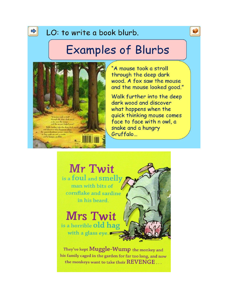 Examples of Blurbs | PDF