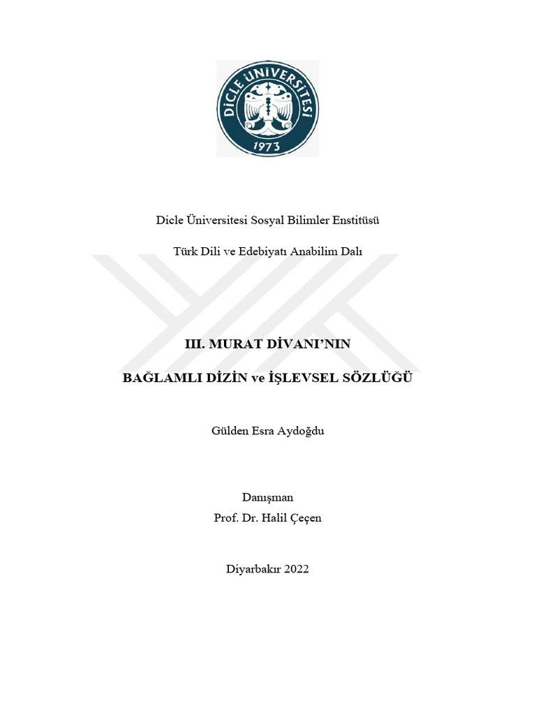 My Doctora Tez PDF | PDF