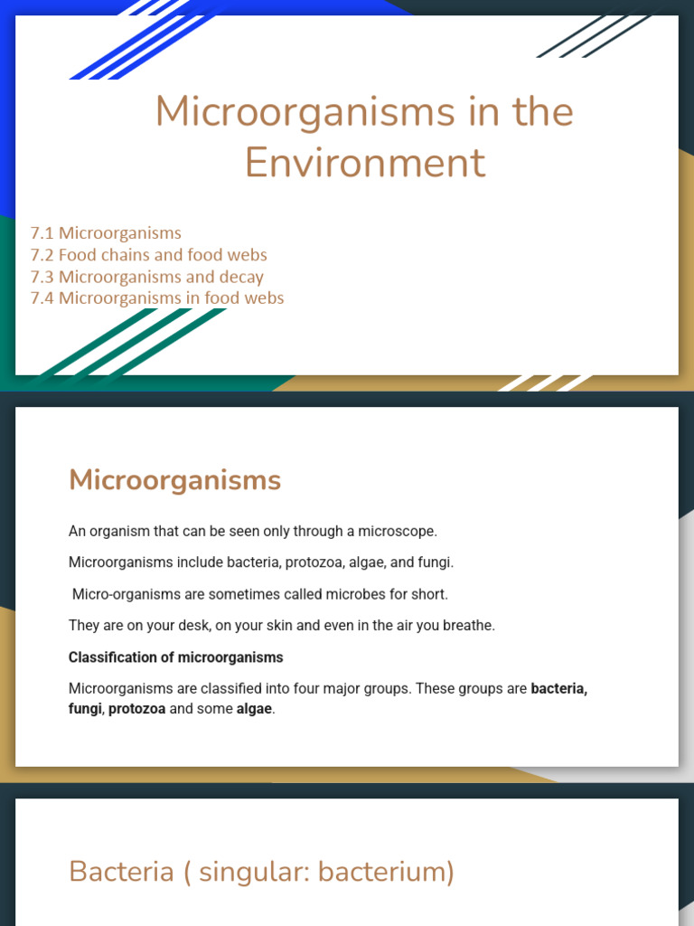 Microorganisms in the Environment | PDF | Microorganism | Bacteria