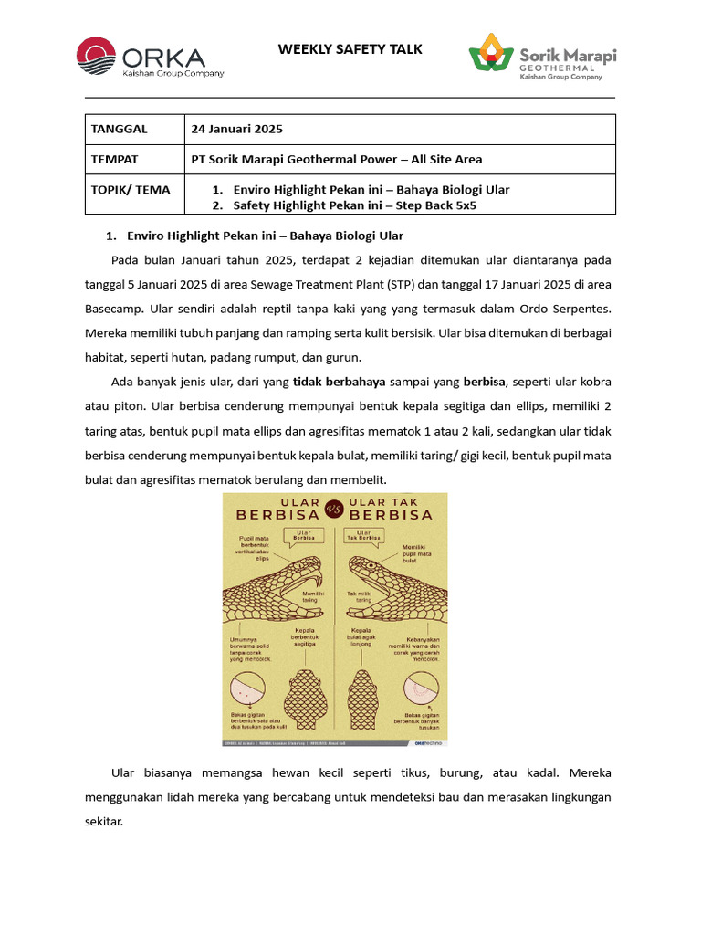 24 01 2025 Weekly Safety Talk Material | PDF