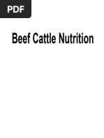 Unit I Beef Cattle Production | PDF | Cattle | Dairy Cattle