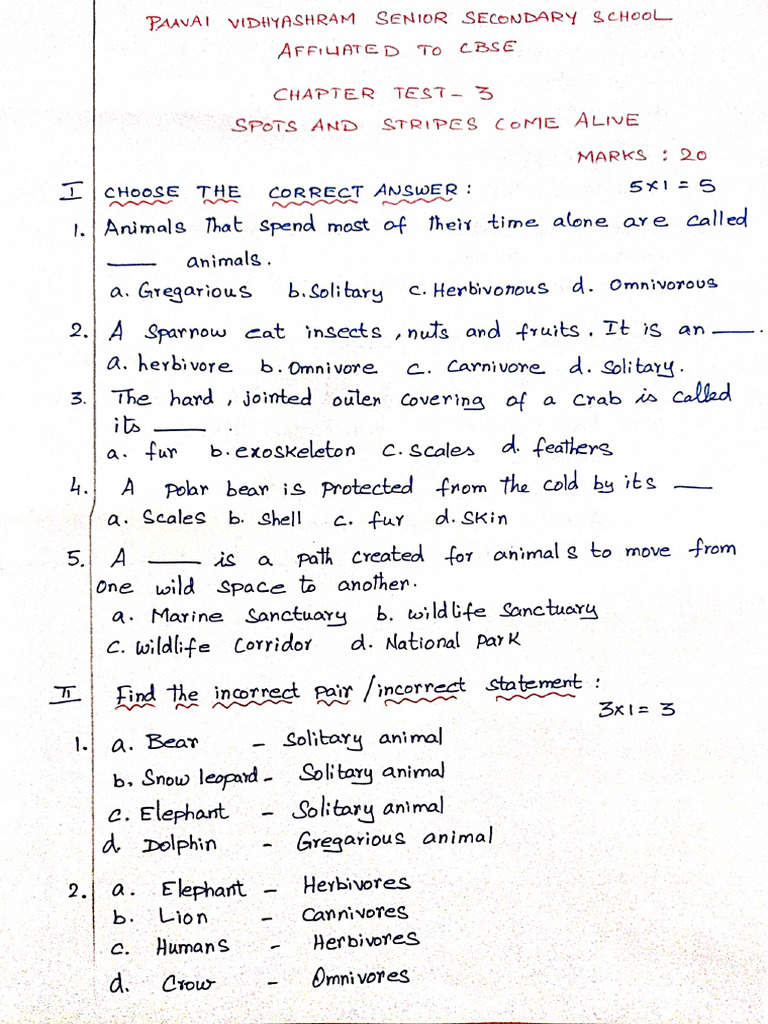 Chapter Test 3 QP | PDF