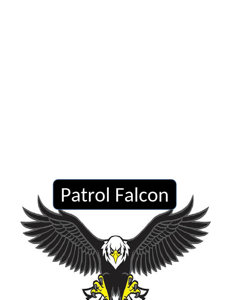 BSP Flag For Camp | PDF