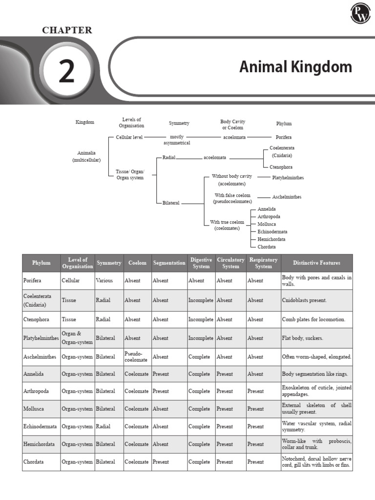 Animal Kingdom Phylum Classification Guide | PDF | Vertebrates | Zoology
