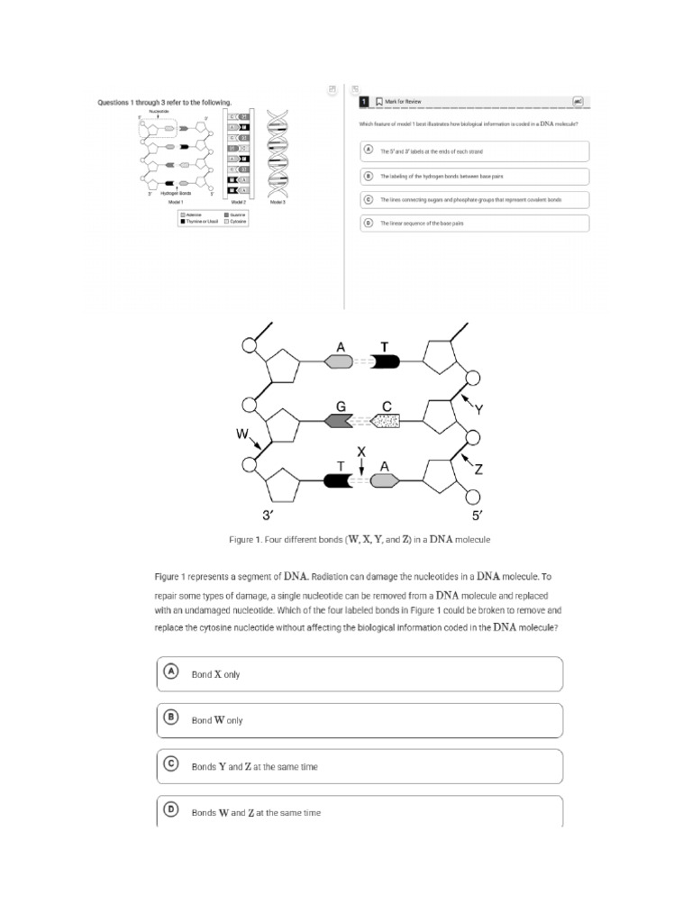 Unit1 APBio | PDF