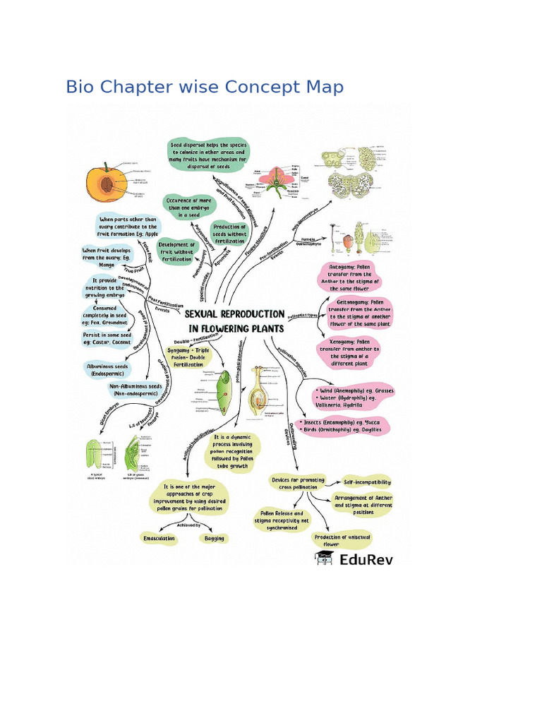 Bio Chapter Wise Concept Map | PDF