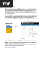 HRIS Sync 1731326235 | PDF | Synchronization | Computer Programming