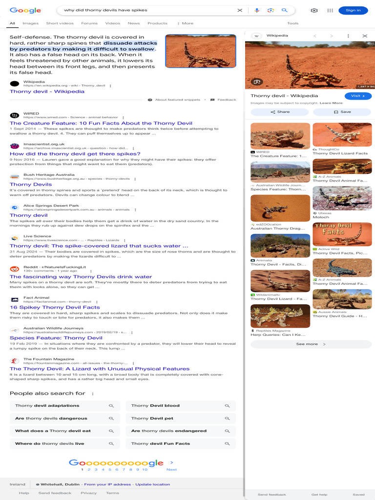 Why Did Thorny Devils Have Spikes - Google Search | PDF | Lizard | Squamata