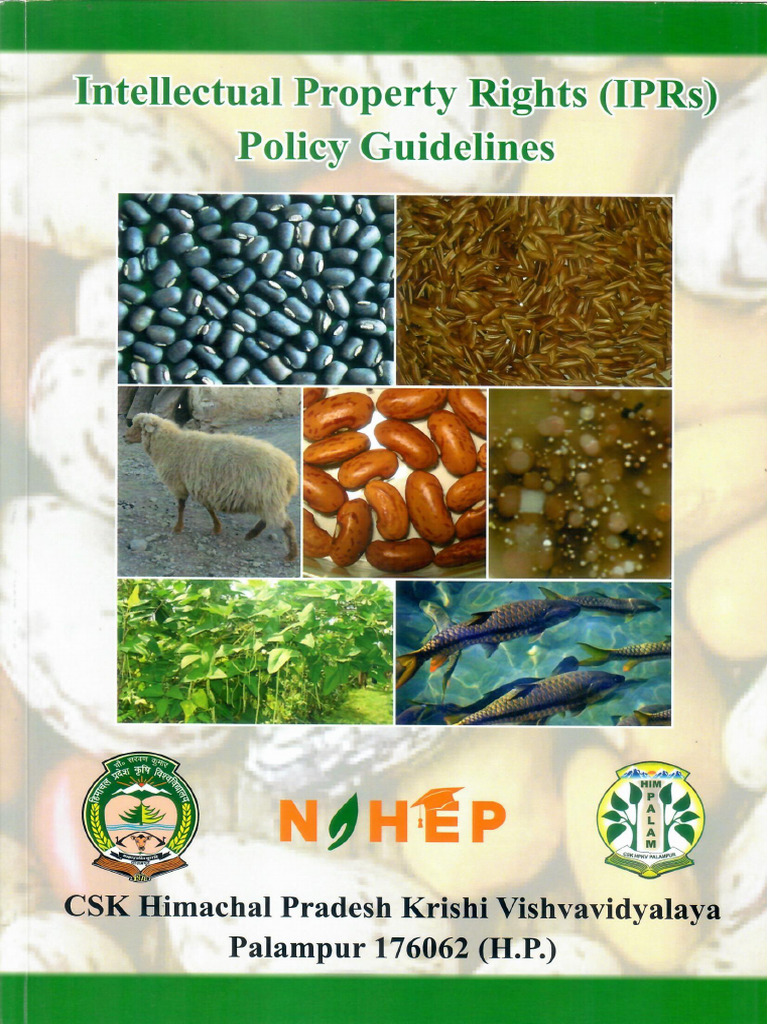 IPR | PDF